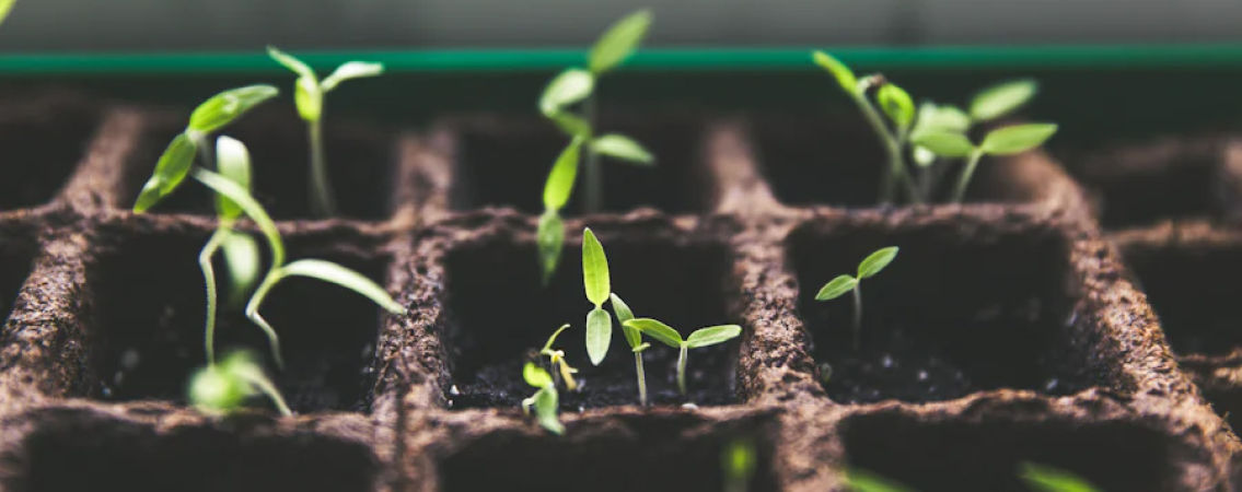 Enhancing New Sales Hire Success: Effective Ramp-up Strategies for ...